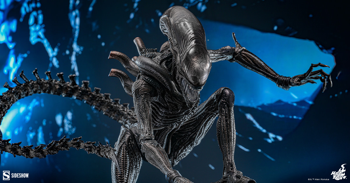 Sideshow Contests & Giveaways